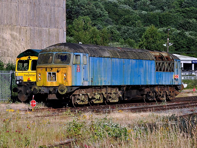 [wnxx] Pictures - 56009 Longport 300618