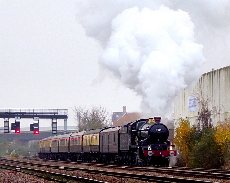 [wnxx] Pictures - 7029 20189 Christmas White Rose 291122