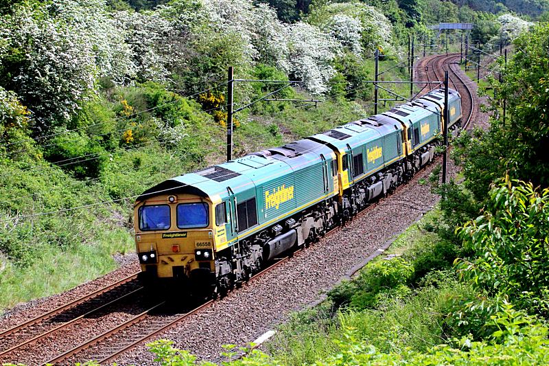 [wnxx] Pictures - 66558 66560 66620 66561 Croxdale 260523