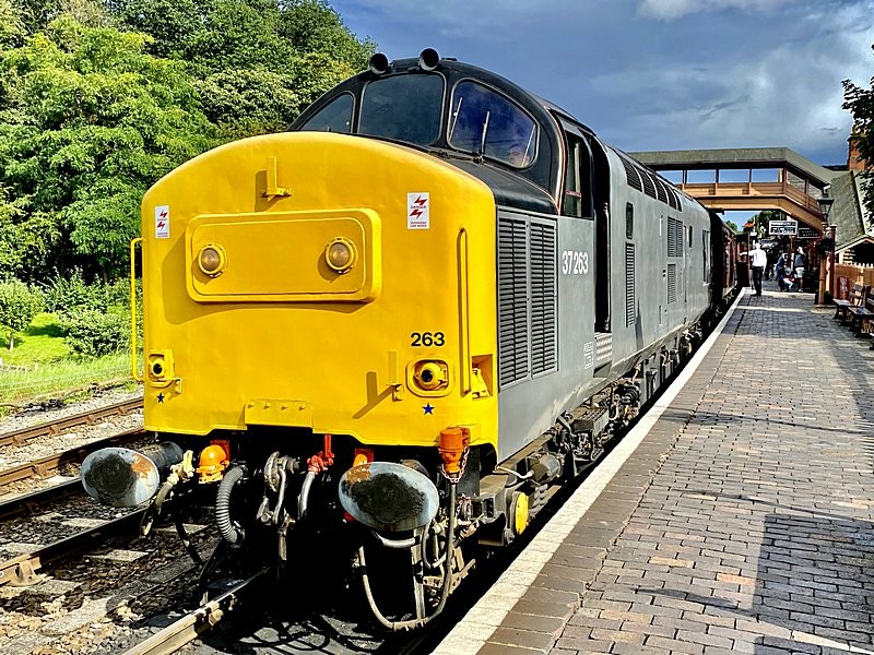 [wnxx] Pictures - Portfolio 020124