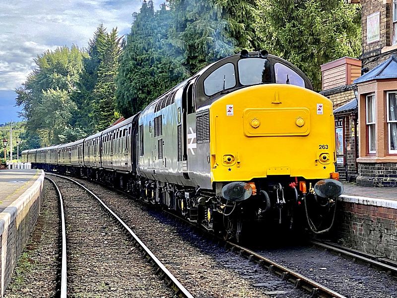 [wnxx] Pictures - Portfolio 020124