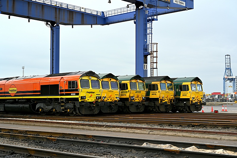 [wnxx] Pictures - Class 66s Felixstowe 300624