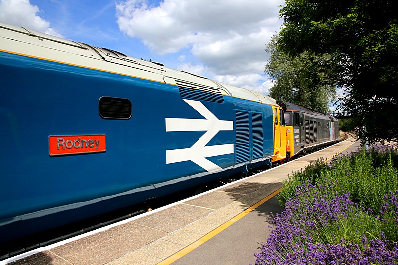 [wnxx] Pictures - 50008 50021 1Z50 110724