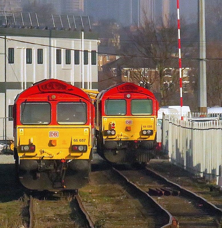 [wnxx] Pictures - Portfolio 040325