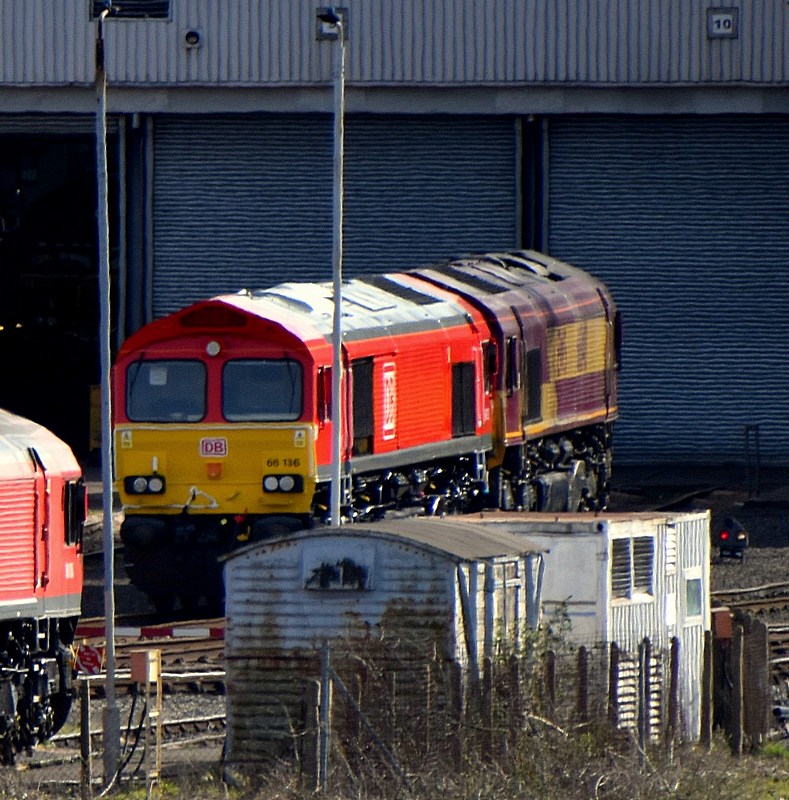 [wnxx] Pictures - 92011 66112 66136 66199 Toton 290325