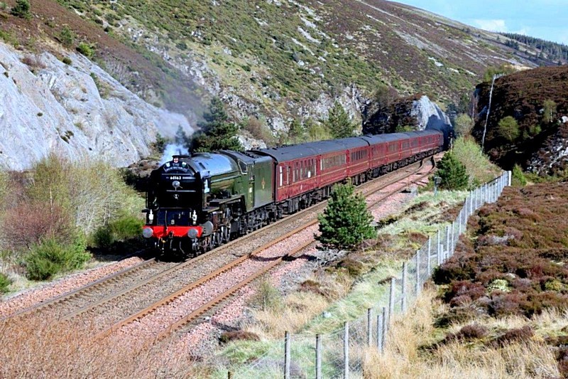 [wnxx] Pictures - Great Britain XVII 290425-040525