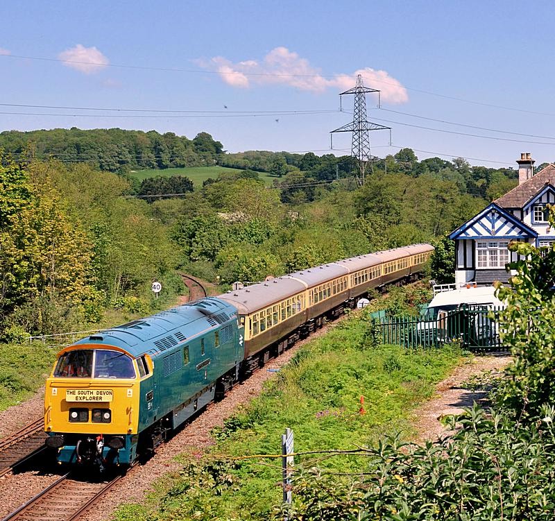 [wnxx] Pictures - D1015 37240 South Devon Explorer 100525