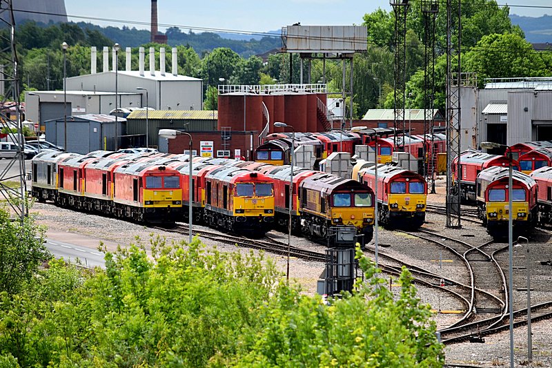 [wnxx] Pictures - Toton 250525